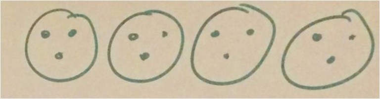 Understanding Multiplication – SMathSmarts